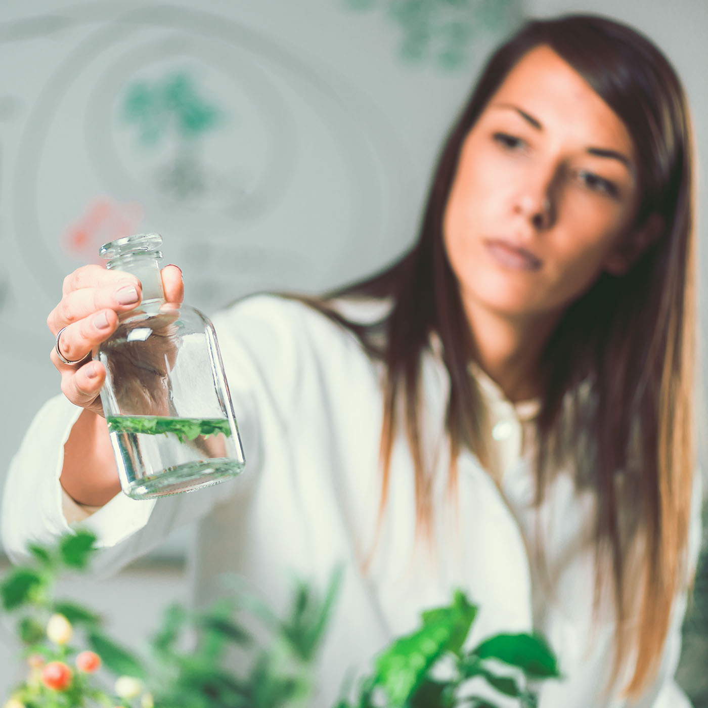 Local News - Moosehead Lakeshore Journal