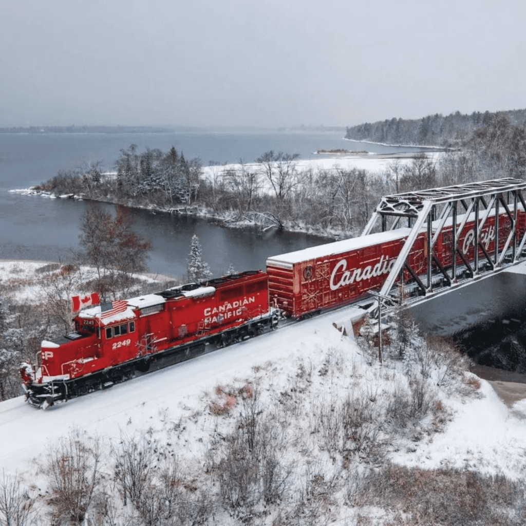 Moose - Moosehead Lakeshore Journal